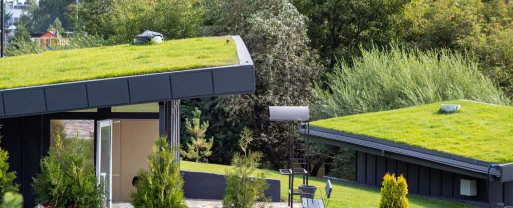 Extensive Begrünung | Gruenbedachung